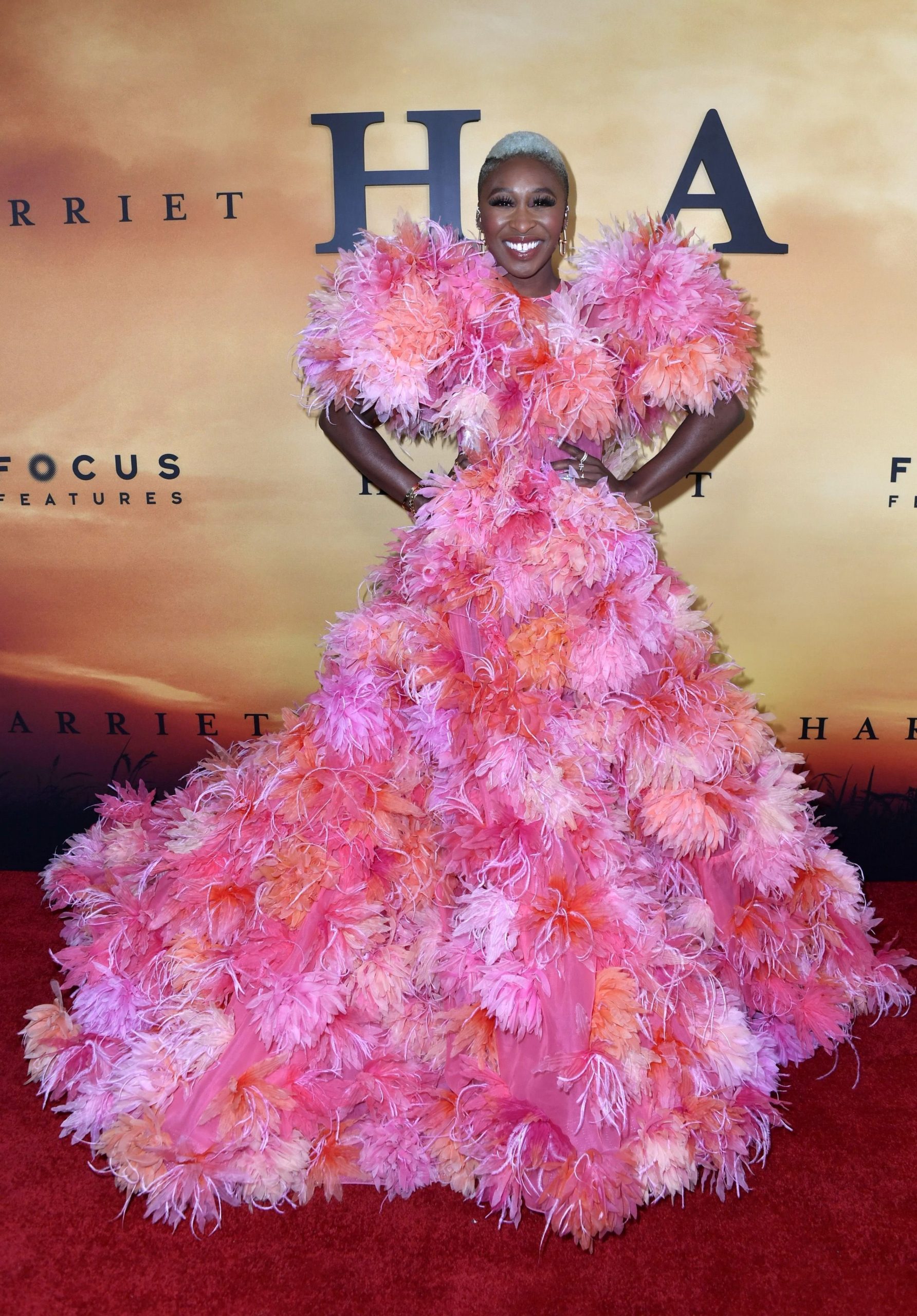Premiere Of Focus Features’ “Harriet” – Arrivals - Socialite Life