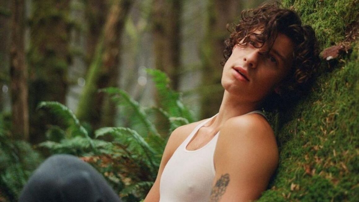 Shawn Mendes scores fourth number one album with Wonder – Socialite Life