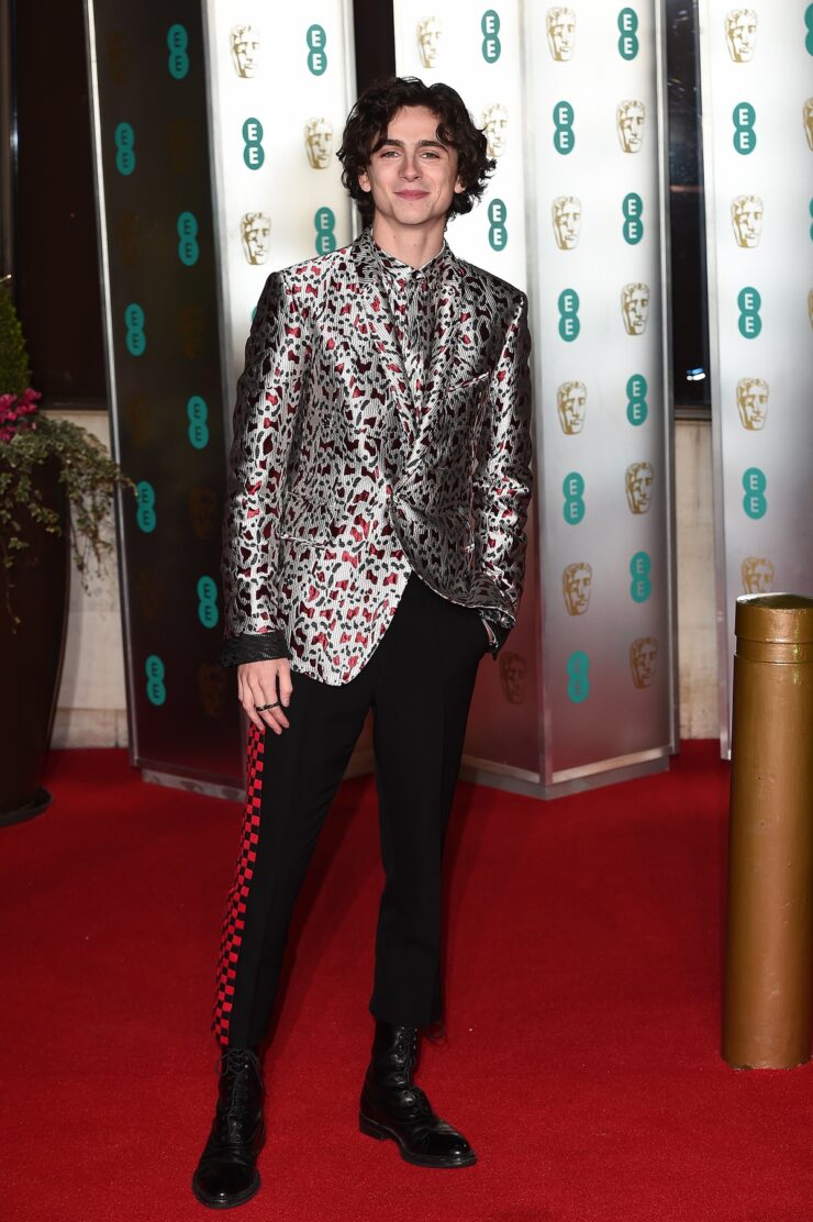 SL’s 10 favorite Timothée Chalamet red carpet pics – Socialite Life