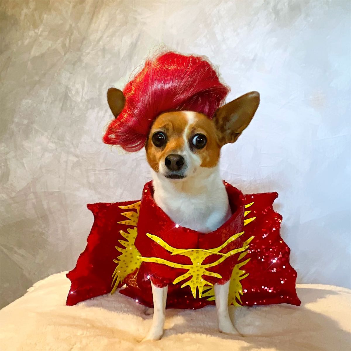 Meet RuPawl, the Top Dog of Drag – Socialite Life