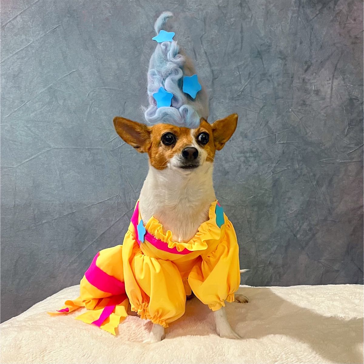 Meet RuPawl, the Top Dog of Drag – Socialite Life