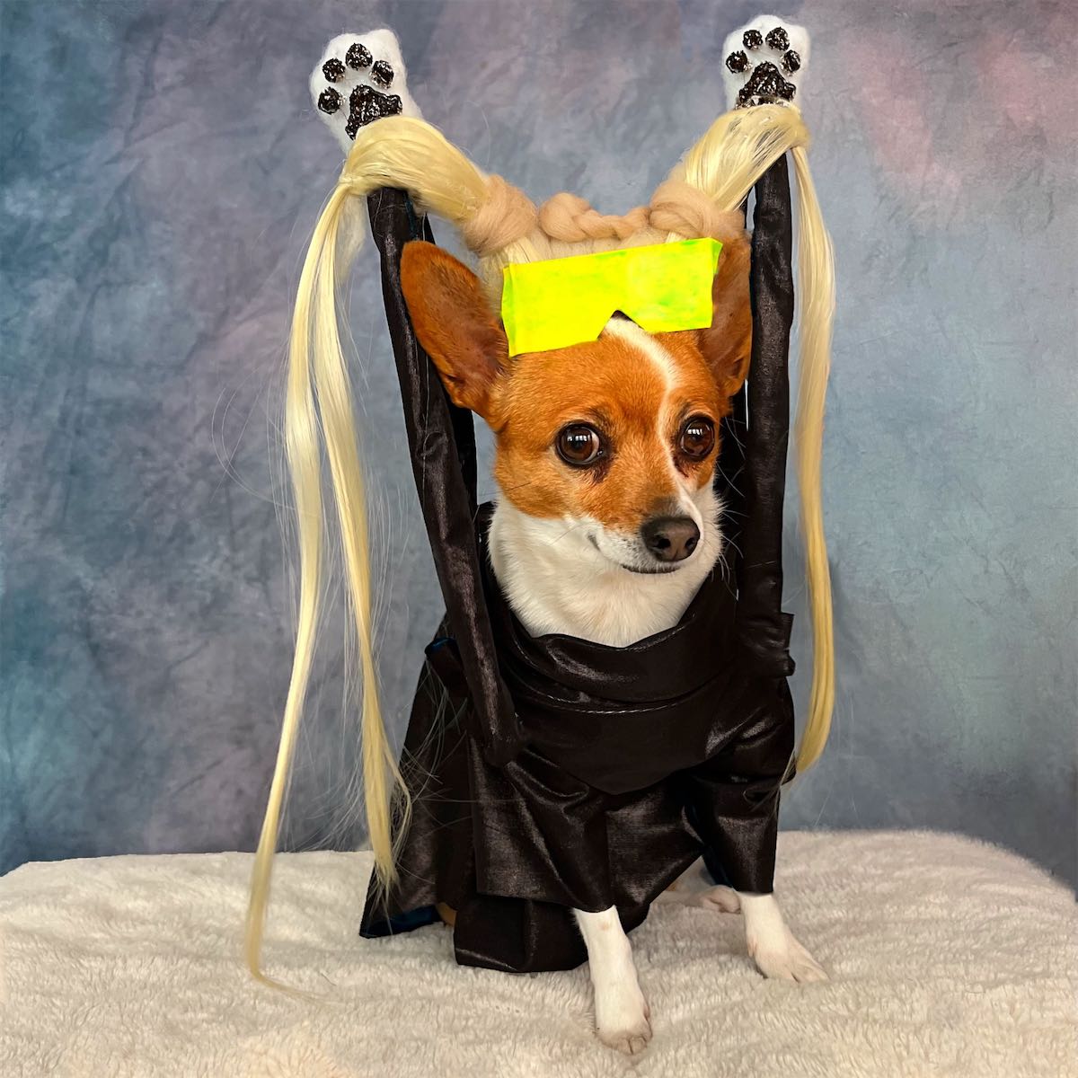 Meet RuPawl, the Top Dog of Drag – Socialite Life