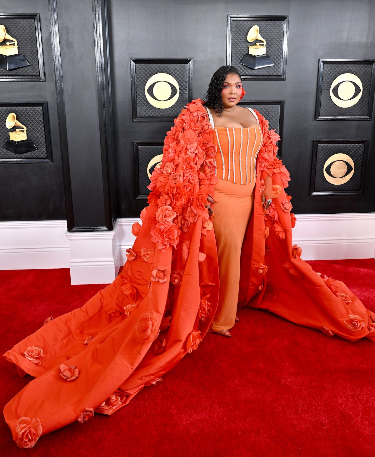 Lizzo Seemingly Quits the Music Industry After Biden Fundraiser ...