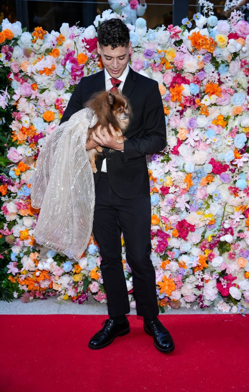 The Pet Gala recreates the Met Gala’s celebrity outfits for dogs ...