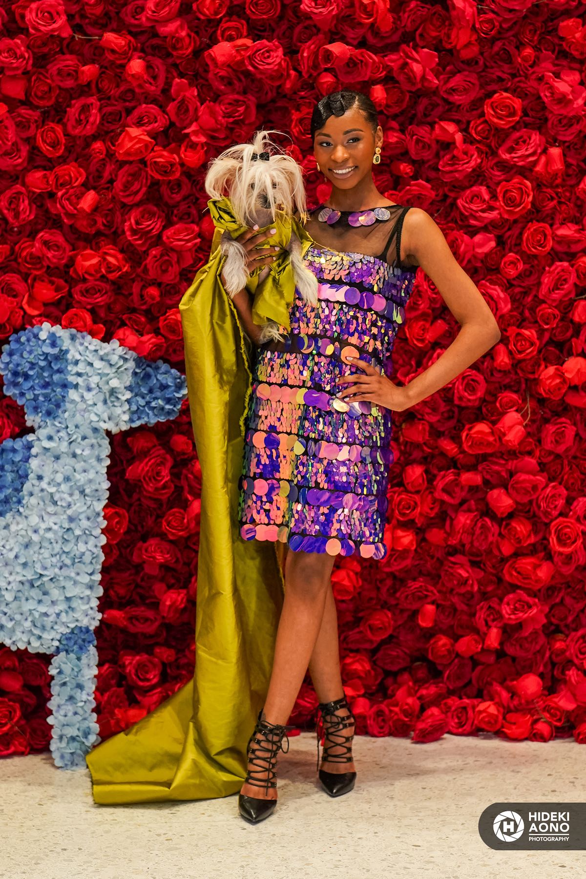 The Pet Gala recreates the Met Gala’s celebrity outfits for dogs ...