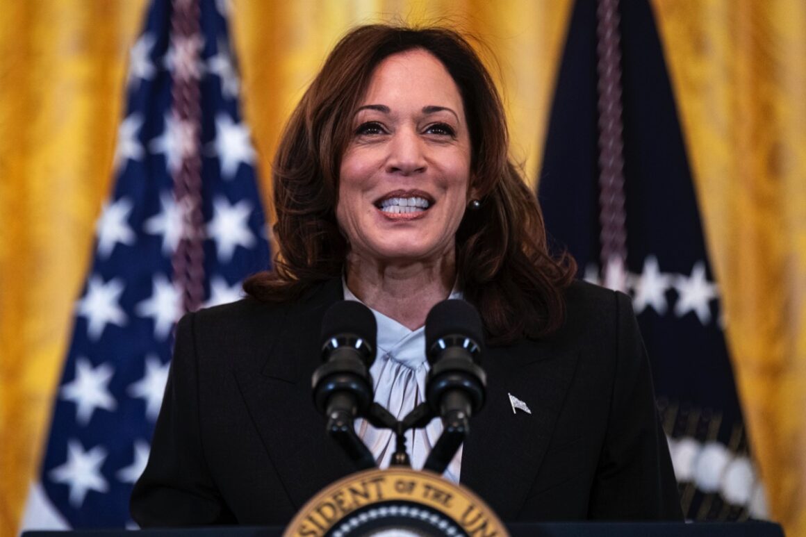 Kamala Harris says she intends to ‘earn and win’ the Democratic ...